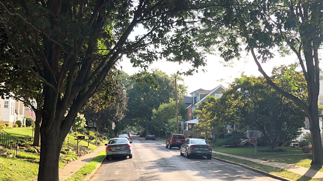 West Chester’s New Tree Ordinance - Hello, West Chester