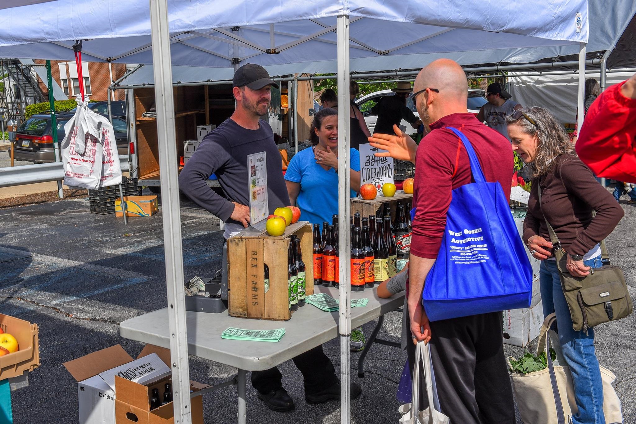 Safe Harbor Executive Director Shares Her Vision for the County’s ...